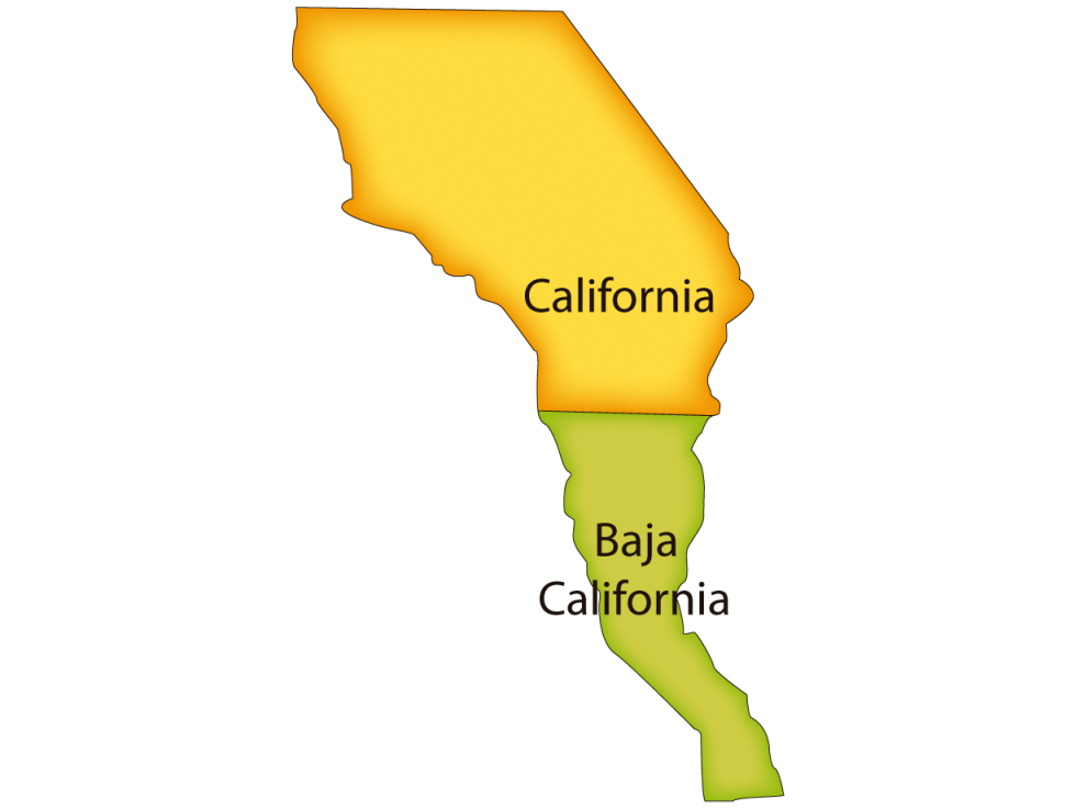 Border Crossings US to Mexico - Bestmex Blog