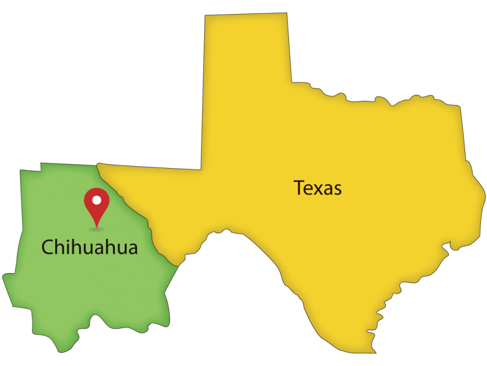 Cruce Fronterizo Tornillo, Tornillo Guadalupe - Bestmex Blog